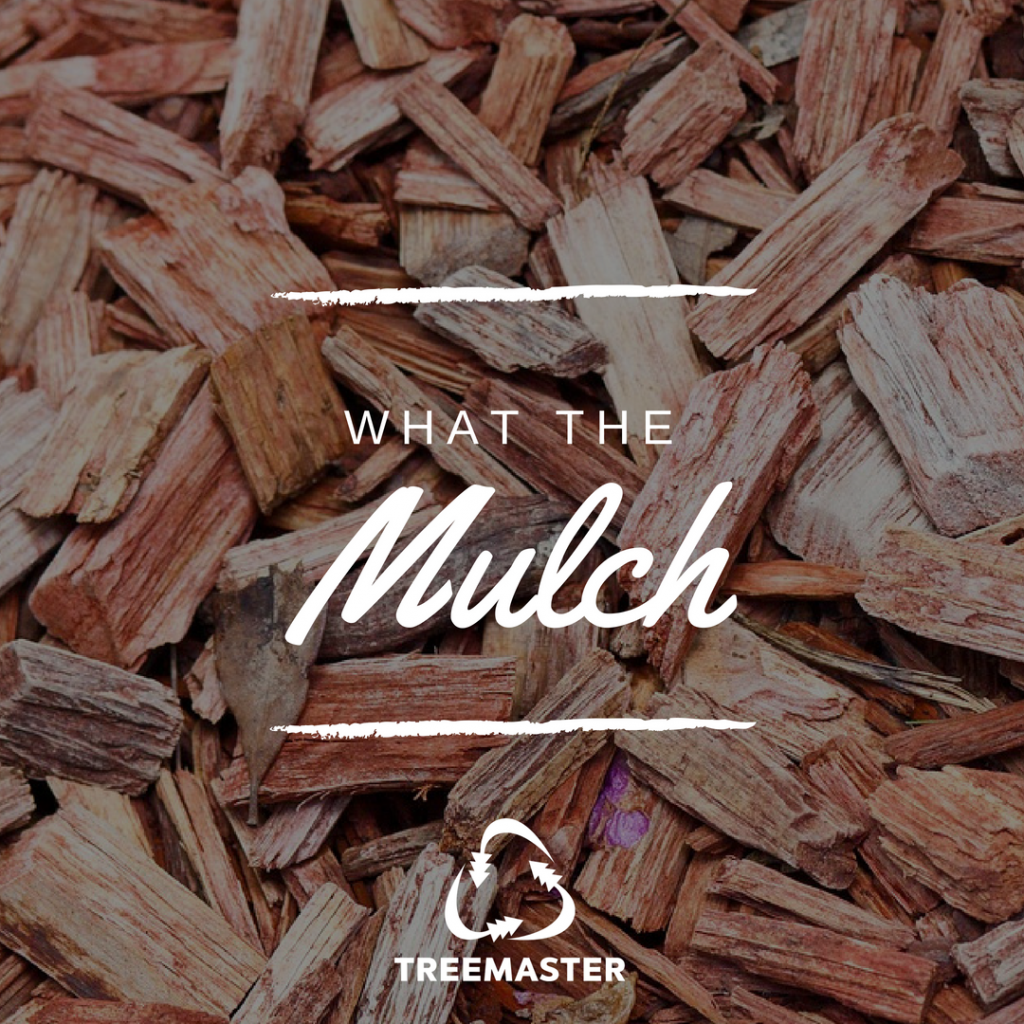 What The Mulch? - Treemaster